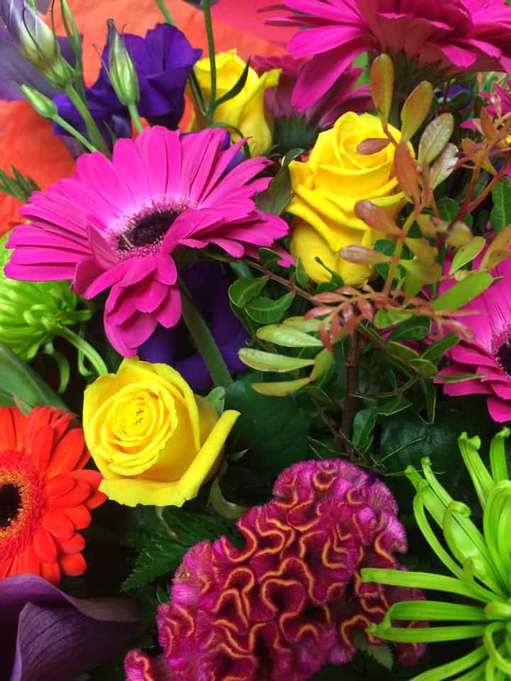 Bloomin’ eck! Divorcing fraudster named and shamed but the papers ...