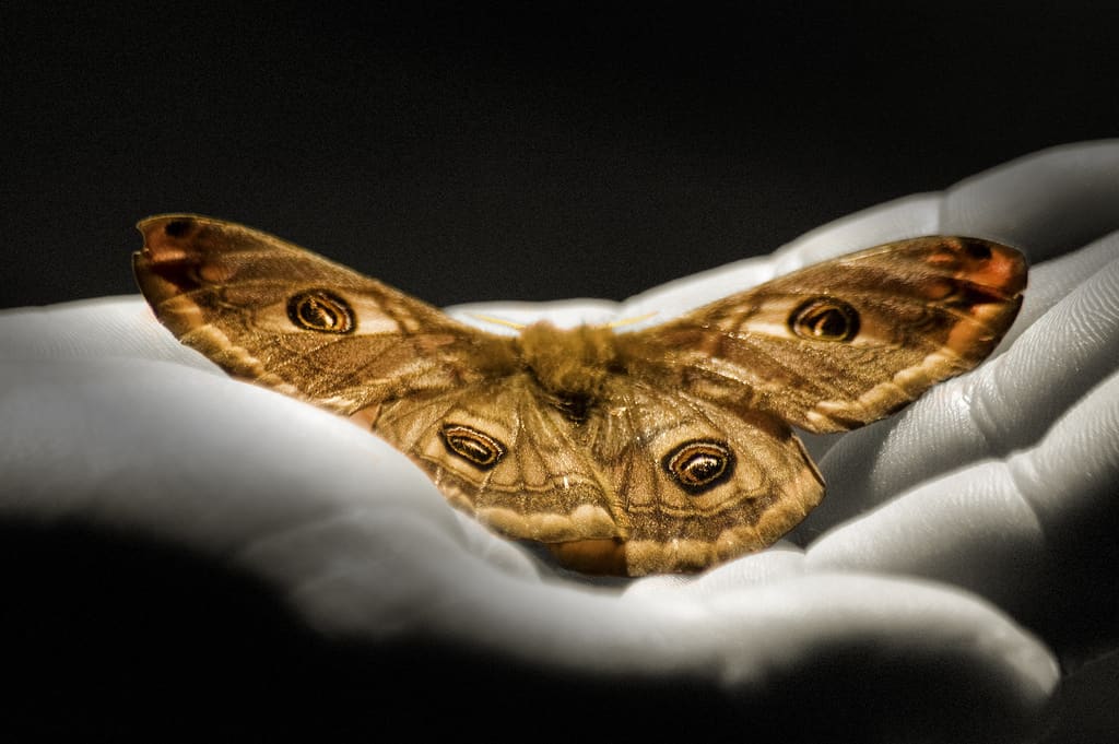 Archives | The Transparency Project
