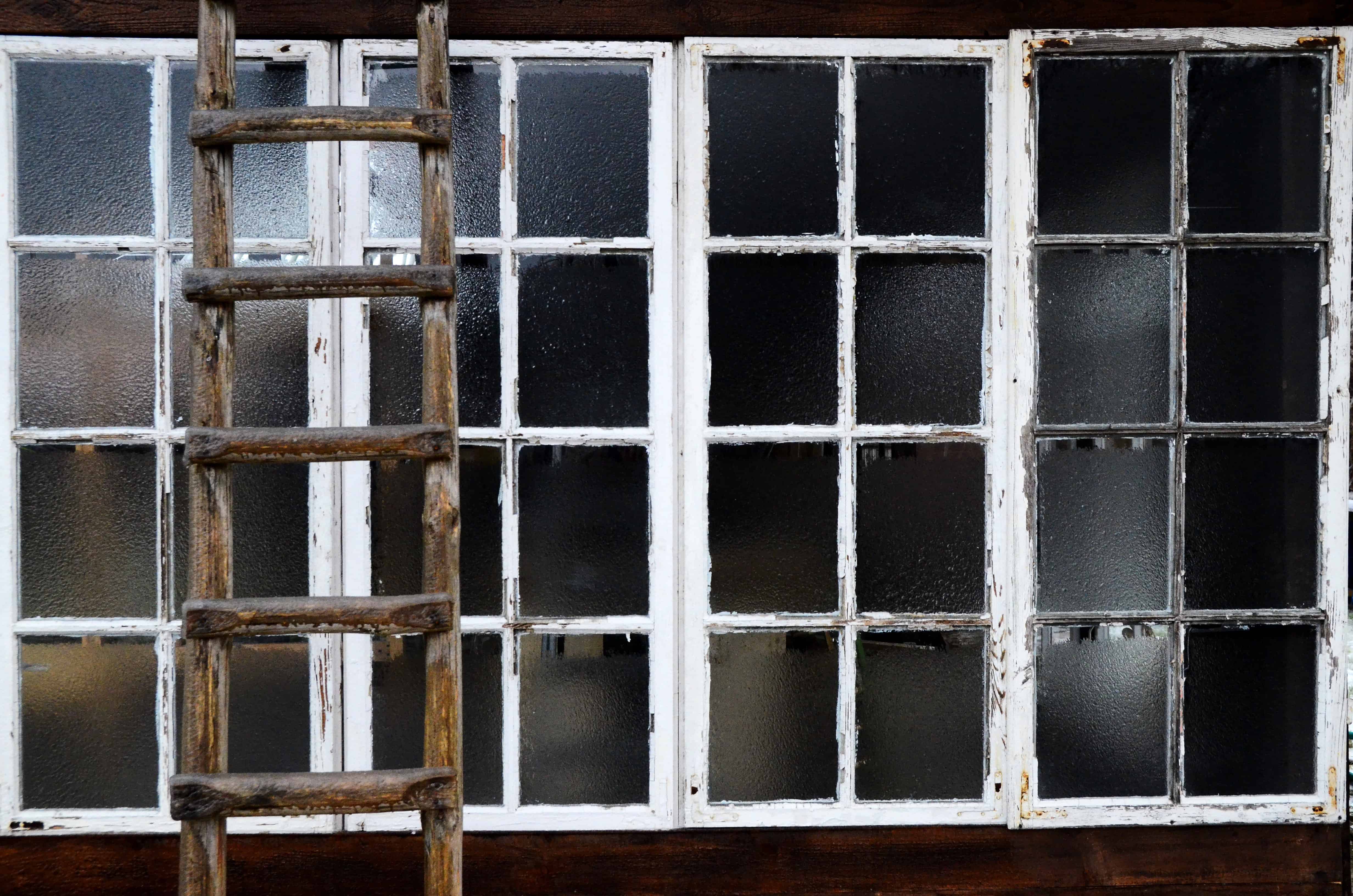 Archives | The Transparency Project