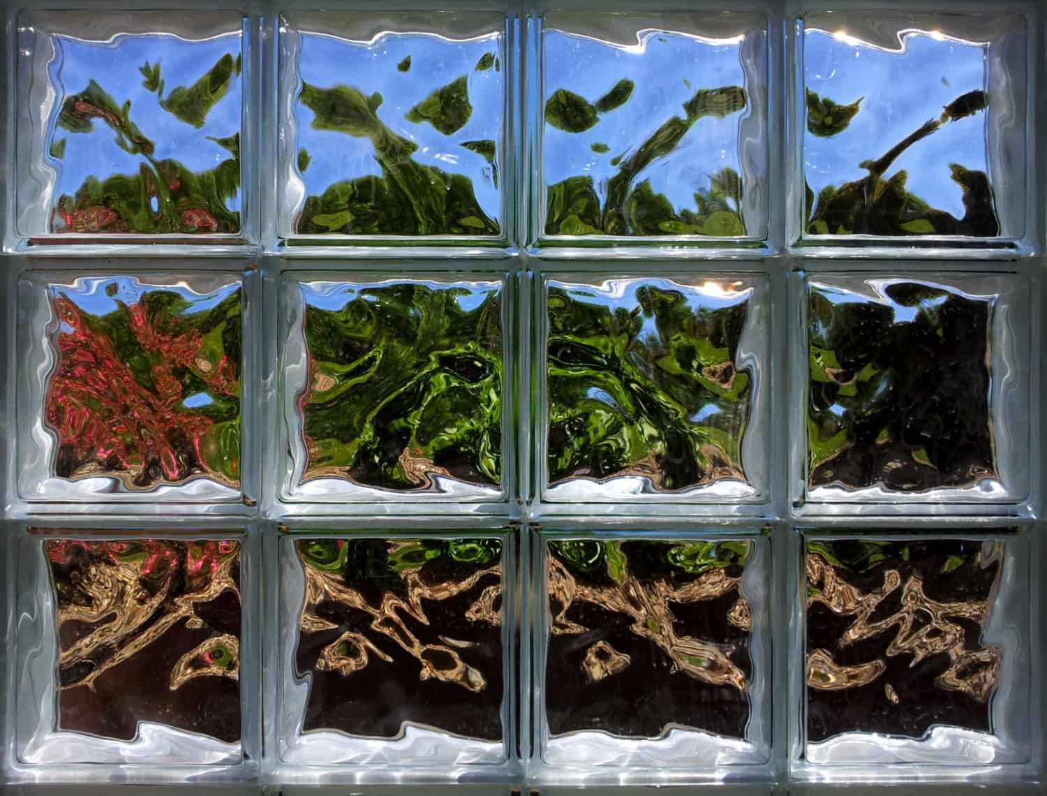 Archives | The Transparency Project