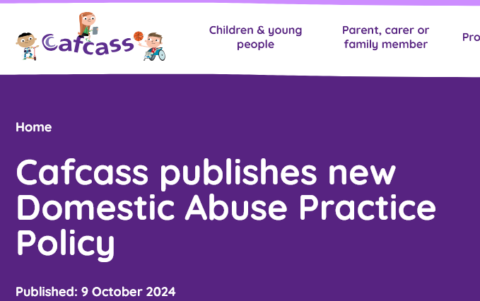 Cafcass new domestic abuse policy – an explainer | The Transparency Project