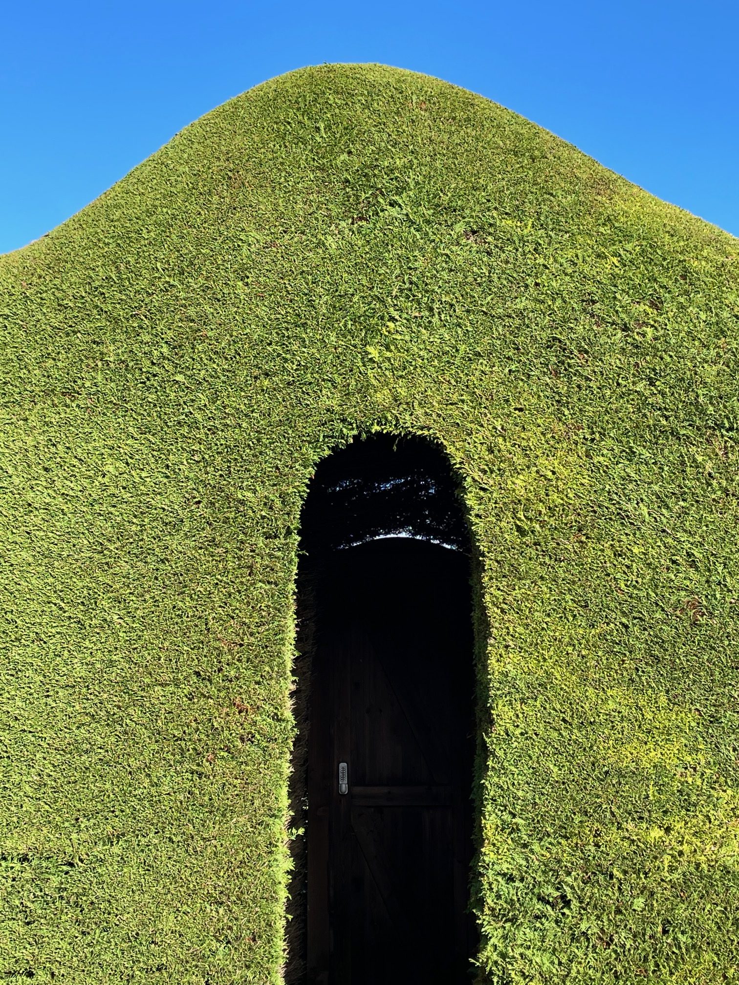 FAMILY JUSTICE: OSTIIS APERTIS? | The Transparency Project